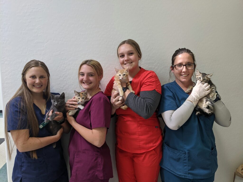 Veterinarian In Lakeside, AZ | Aspen Ridge Animal Hospital
