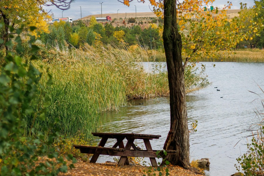 Lakeside, AZ Veterinary Jobs | Aspen Ridge Animal Hospital